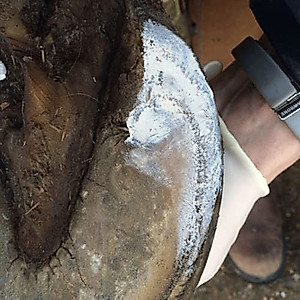 Artimud Hoof Clay 750g (500ml)