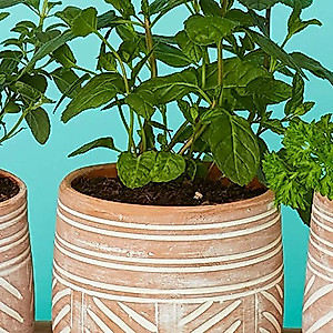 Gold & Garden Bangladesh Small Rustic Geometric Round Terracotta Pot Set with Tray