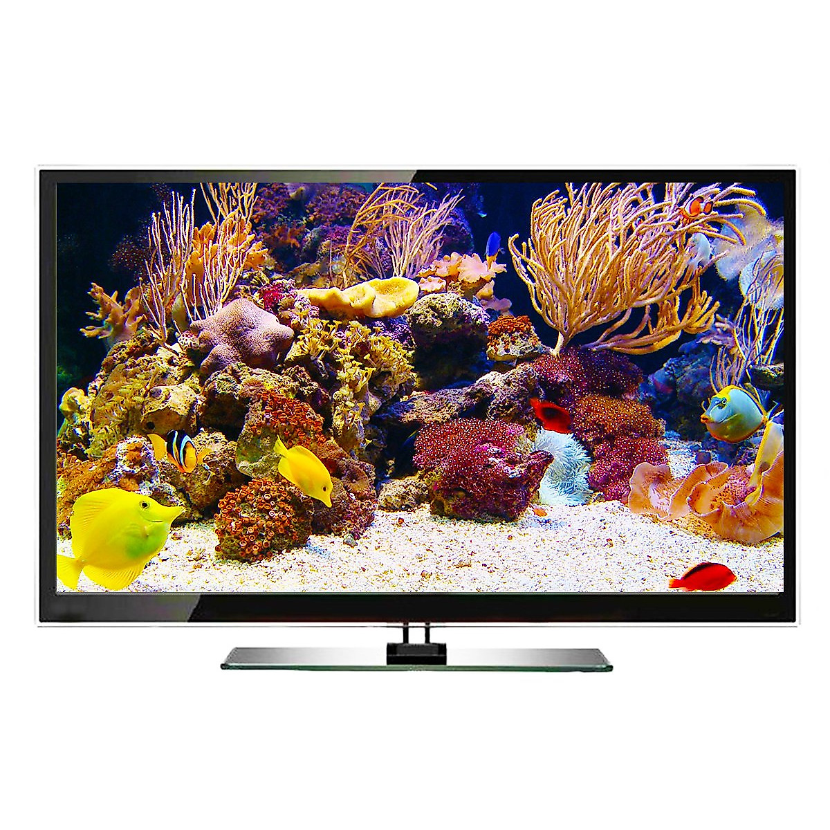 DVD Ambiance - Cheminée et Aquarium Tropical, 2 heures de vidéo d'atmosphère HD en boucles de 25 minutes