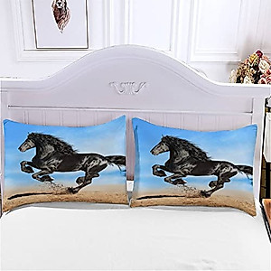 Quilt Cover Twin Size Friesian 3D Bedding Sets Black Stallion Duvet Cover Breathable Hypoallergenic Stain Wrinkle Resistant Microfiber with Zipper Closure,beding Set with 2 Pillowcase