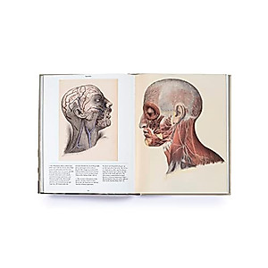 Anatomica: The Exquisite and Unsettling Art of Human Anatomy