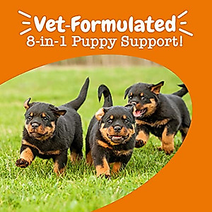 Zesty Paws Puppy 8-in-1 Multivitamin Soft Chews - Glucosamine & Chondroitin for Hip & Joint Health - Omega 3 Fish Oil for Skin - Gut, Immune, Heart, Kidney & Liver Support for Puppies - 90 Count