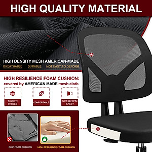 V&LX Armless Swivel Mesh Office Chair Height Adjustable with Lumber Support for Small Spaces, Black