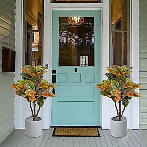 2PCS Artificial Croton Plant, Faux Fiddle Leaf fig Tree,Artificial Trees for Home Decor,Floor Plant,Front Porch Plants with Plastic Pot, Faux Ficus Lyrata Tree,35inch