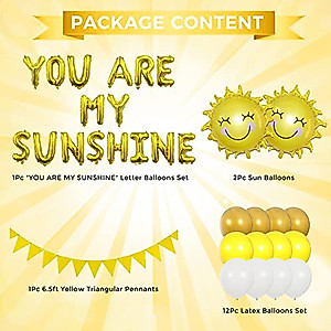 Sunshine Party Decorations Yellow Birthday Decorations Sun Party Decorations Sunshine Birthday Decorations You Are My Sunshine Party Decorations Banner Sunshine Baby Shower Decorations Sun Balloon