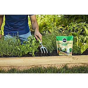 Miracle-Gro Raised Bed Plant Food, 2-Pound