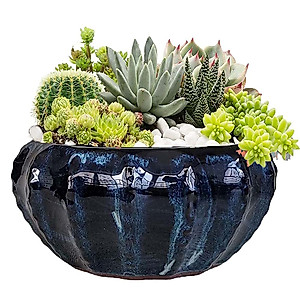 Fowargif 8inch Modern Large Shinny Black Ceramic Bonsai Pot,Cactus pots,Ceramic Plant Pot for Orchids,Decorative Orchid pots with Hole (Midnight Black)