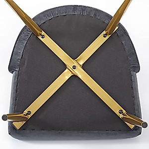 Franz Velvet Dining Chair with Gold Legs Set of 2 (Regal Blue)