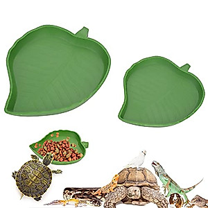 Molain Reptile Leaf Food Water Bowl, 2 Pieces Reptile Leaf Shape Dish Flat Drinking Bowl Water Plate for Turtle Lizards, Hamsters, Snakes 2 Sizes