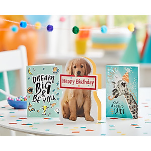 American Greetings Birthday, Friendship, or Congratulations Card (You Can Do Anything)