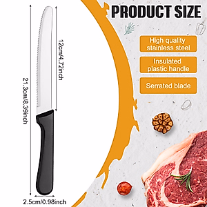 Zhehao 200 Pcs Steak Knives 8.39 Inches Stainless Steel Steak Knives Serrated Blade Steak Knife Set with Round Tip Classic Serrated Knife with Plastic Handle for Restaurant Kitchen, 4.72 Inch Blade
