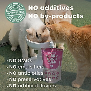 Choolip Berry Good Pet Milk. 10pk Vitamin-Infused Cat Milk, Dog, Kitten, Puppy Milk. Dog Bladder Support, Cat Kidney Support, Cat Urinary Supplement Cranberry, Omega 3, CoQ10, Glucosamine, Taurine