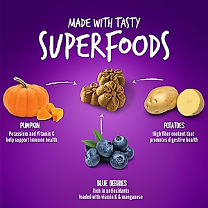 Fruitables Crunchy Baked Dog Treats | Pumpkin & Blueberry | 7 Ounces, Model Number: 2157