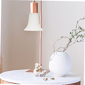 DOITOOL Chic Lampshade Glass Light Cover Easy Assembly for Bedroom Living Room Ceiling Lamp