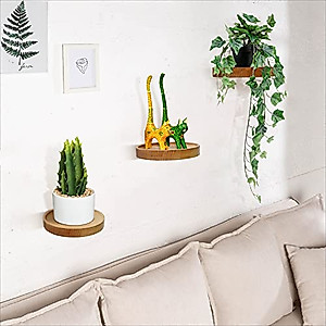 AceList 3-Pack Round Floating Shelves for Wall Decor, 6'' Diameter Beech Wood Circle Floating Shelf, Cup Plant Wall Shelves for Bedroom, Bedroom, Living Room, Bathroom, Kitchen