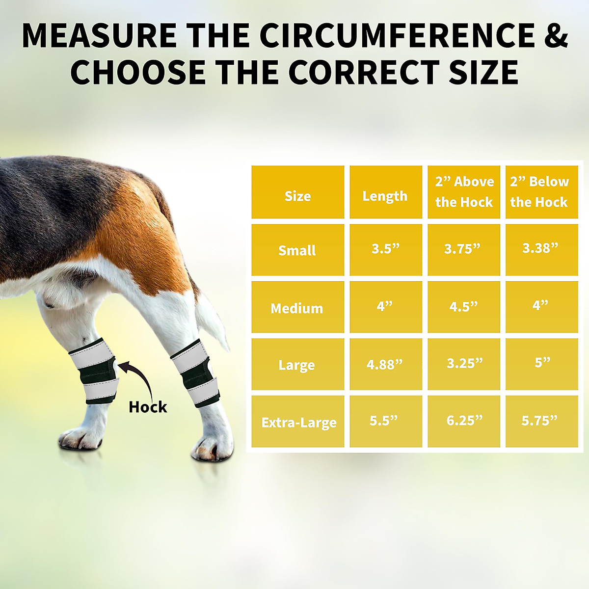 AGON® Dog Rear Brace Pair Hock Joint Brace with Metal Strings and Reflective Wraps Compression Straps Canine Back Leg Protects Wounds. Heals Prevents Injuries Sprains Loss of Stability by Arthritis