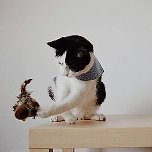 GIGWI Melody Chaser Motion Activated Bird, Black (G10052A1)