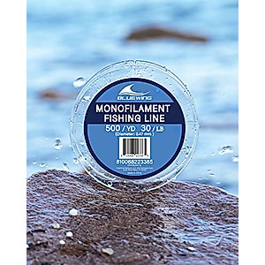 BLUEWING Monofilament Fishing Line Clear Invisible Thin Diameter Fishing String Mono Fishing Line, Dia.0.47mm*500YD*30LB