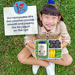 GoGo squeeZ yogurtZ Variety Pack, Berry, Blueberry, 3 oz. (10 Pouches) - Kids Snacks Made from Real Yogurt & Fruit - Pantry Friendly Snack, No Fridge Needed - No Preservatives - Kosher Certified - Gluten Free Snacks for Kids
