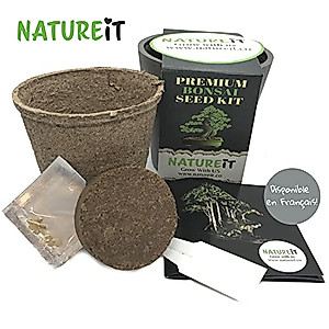 Bonsai Tree Seed Starter Kit. Bonsai Pot Included. Indoor & Outdoor DIY Beginners Easy Grow Craft & Hobby Gardening Set for Women & Men of All Ages. Unusual Housewarming Gift for Plant Lovers