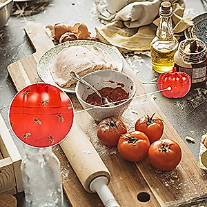 Stingmon 4 Pack Fruit Fly Trap Indoor, Gnat Killer for Kitchen, Fly Trap Catcher for Home, Gnat Traps Indoor