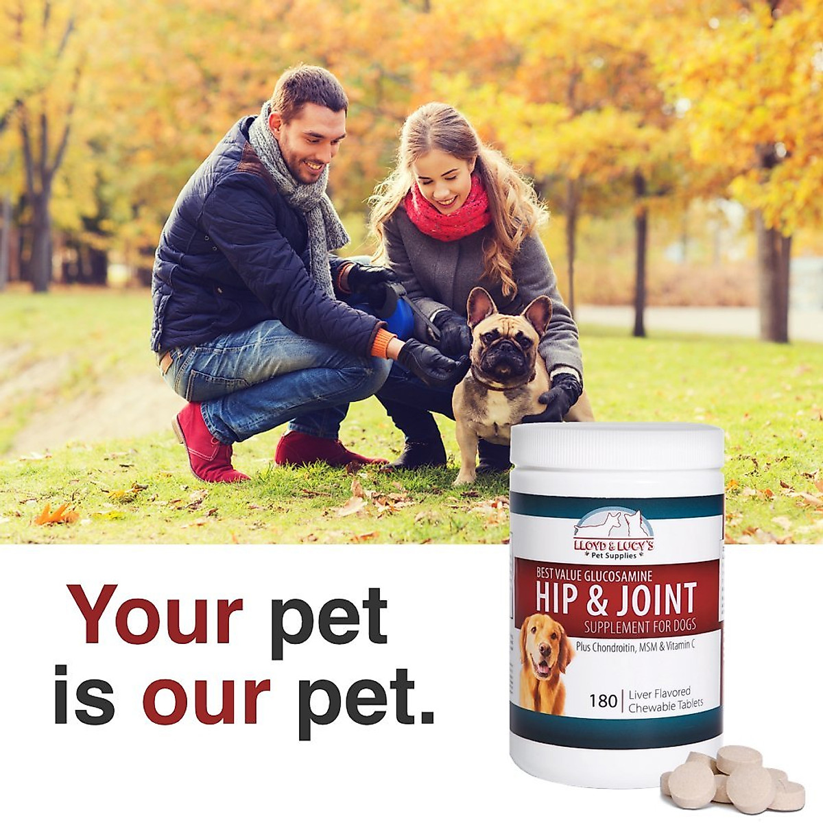 Lloyd & Lucy's Hip and Joint Supplement for Dogs - Chewable Multivitamin with Glucosamine, Chondroitin, MSM and Vitamin C - Healthy Liver Flavored Treat Pets Will Love - 180 Ct Tablets