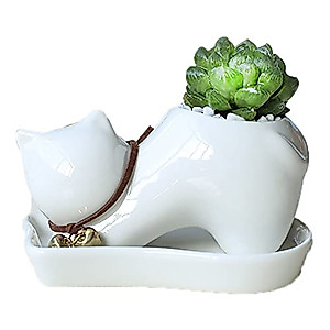YONGYAN Cartoon Cat Flower Pot Statue Decoration Ceramics Garden Planters Containers Pot Bookshelf Office Desktop Decor