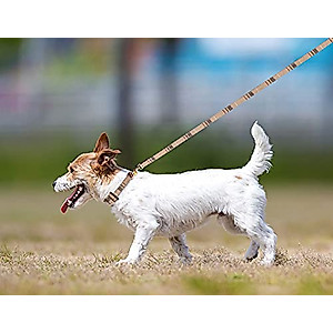 3 PCS Dog Collars for Small Dogs Puppy Collar and Leash Set Dog Bow Tie with Bell Puppy Bandana Leather Dog Collar for Small Dogs Puppies and Cats(Beige)