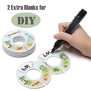 Baby Closet Dividers - Set of 10 from Newborn to Toddler and 2 Blanks with Colored Box - Dinosaur Designs Nursery Closet Size Dividers - [Dinosaur]