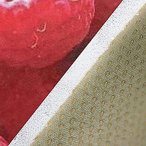 Doormat Welcome Door Mat-Red Raspberries As Background 4x5 Film,Living Room Kitchen Floor Mat Home  Indoor Outdoor Decoration 24X16INCH