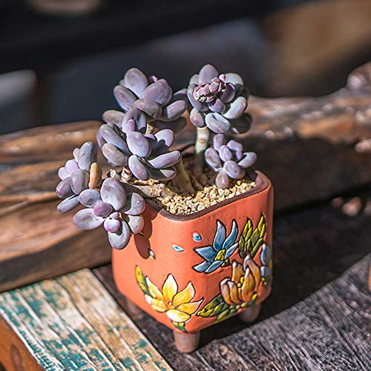 Summer Impressions 4.88 Inch Tall Hand Painted Square Succulent Planter Cactus Planter Pot Bonsai Pot Clay Pot Flower Pot Floral Design Indoor Outdoor Pack of 2 (Tall Square Orange and Green)