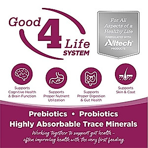 NutriSource Cat & Kitten Food, Made with Chicken and Rice, with Wholesome Grains, 6.6LB, Dry Cat Food