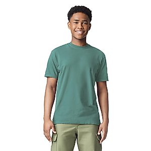 Comfort Colors Adult Short Sleeve Tee, Style G1717, Light Green (1-pack), 3X-Large