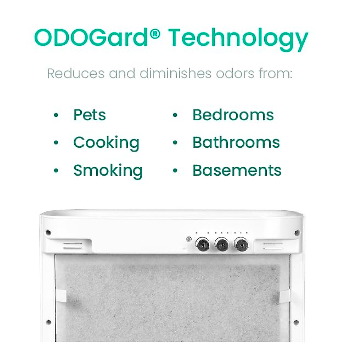 Greentech Environmental PureHEPA+ with ODOGard - Advanced HEPA Air Purifier and Odor Eliminator for Spaces up to 175 sq ft - CARB Certified