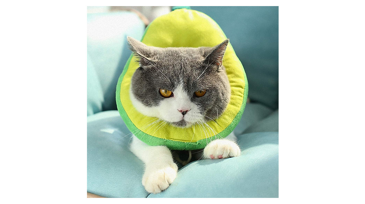 KVV Adjustable Cat Recovery Collar - Cute Toast Design