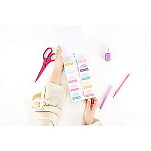 The Happy Planner Sticker Value Pack - Planner Accessories - Save Now Spend Later Theme - Multi-Color - Great for Budgeting & Organizing - 30 Sheets, 1170 Stickers