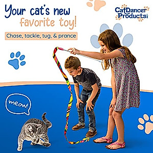 Cat Dancer Products Charmer Interactive Cat Toy