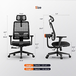 Newtral Ergonomic Office Chair, Home Office Desk Chair with Adaptive Lumbar Support, 4D Armrest, Adjustable Headrest, Mesh Back, Tilt Lock