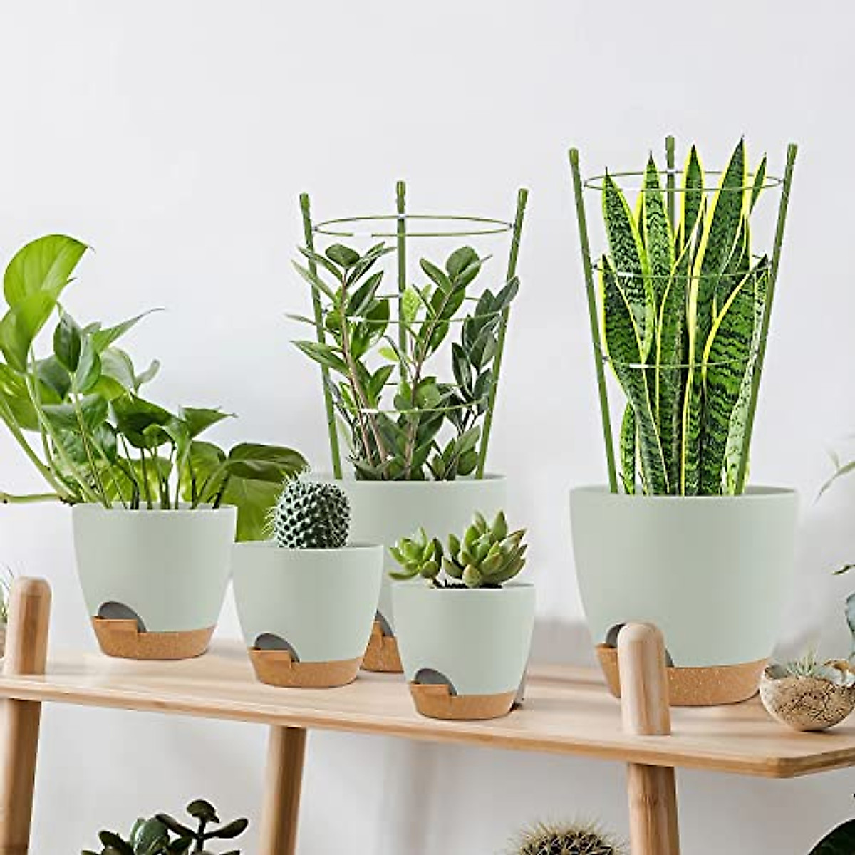 4 Pack Plant Support Tomato Cages for Garden, 18 Inches Small Tomato Cages and Supports with Adjustable Rings for Garden Pots, Plant Stakes Tomato Trellis Rings for Climbing Plants