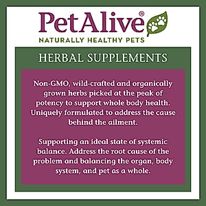 PetAlive Ear Dr. - Natural Ear Drops Promote Ear Comfort and Health in Cats and Dogs - Soothe Ear Discomfort to Reduce Constant Scratching - Keep Pets Ear Canals Clean and Clear - 30 mL