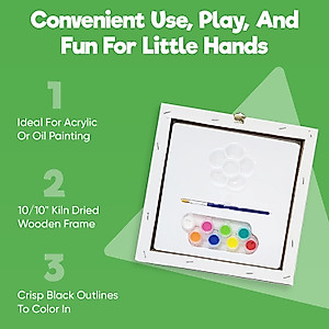 Misco Toys Canvas Paint Party Kits, 11 Piece Art kit Pre-Drawn Outline Canvas for Paint and Sip 8 Colors and Brush Included, Great Gift for Kids 4+ and Adults Too! (Fairy)