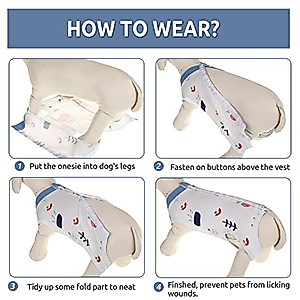 SAWMONG Dog Recovery Suit, Recovery Suit for Dogs After Surgery, Dog Spay Surgical Suit for Female Dogs, Dog Onesie Body Suit for Surgery Male Substitute Dog E-Collar Cone, Plant Blue, X-Large