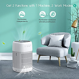 Air Purifier and Dehumidifier 2 in 1, Afloia Air Purifier Q10 Filter Replacement