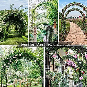 Metal Garden Arch Trellis Frame Roses Vines Plants Climbing Archway Rose Arch for Outdoor Garden Wedding W120cm-320cm (High : 2.4m, Size : 3m/9.8ft)