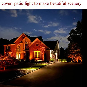 Tickjoy 200 ft Red Cellophane Wrap Roll (16 in x 200 ft), Colored Cellophane Wrap-Red Transparent Cellophane Wrap for Gift Baskets, Attached with 2-Roll Ribbon