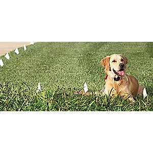 High Grade Dog Fence Wire - 2000 Feet of 16 Gauge High Tensile Electric Dog Fence Boundary Wire. Compatible with All Brands of Pet Containment Fence…