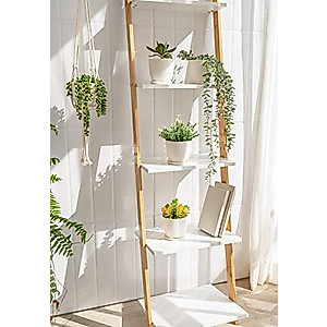 Mkono 4.5" Plastic Succulent Planters with Saucers, Indoor Set of 5 Nursery Pots Modern Flower Plant Pot with Drainage for All Small House Plants, Herbs, Foliage Plant, and Seedling, Cream White