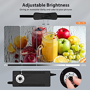 Takerers Photo Studio Light Box,39x39 Inch/100x100cm 210 LED Professional Photo Background Shooting Tent with 3 Stepless Dimming Light Panel, Lightbox with 5 Color Backdrops for Product Photography