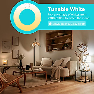 Smart Light Bulbs, Smart Bulb Compatible with Alexa & Google Home, LED Light Bulbs Color Changing, Multi-Dynamic Scene, Music Sync, A19 E26 2.4GHz RGBTW WiFi & Bluetooth Light Bulb 60W, 800LM, 4Pack
