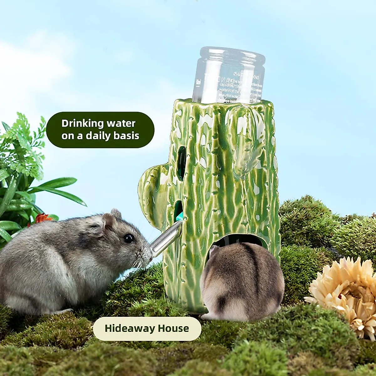 CheeFun Ceramic Hamster Water Bottle: 80ML Adjustable Cactus Water Stand Holder - No Drip Rat Water Bottle for Dwarf Hamster Mice Gerbil Guinea Pig (Light Green)